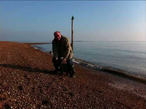 Alan Brazil Buries His Dog Saxon On talkSPORT - YouTube
