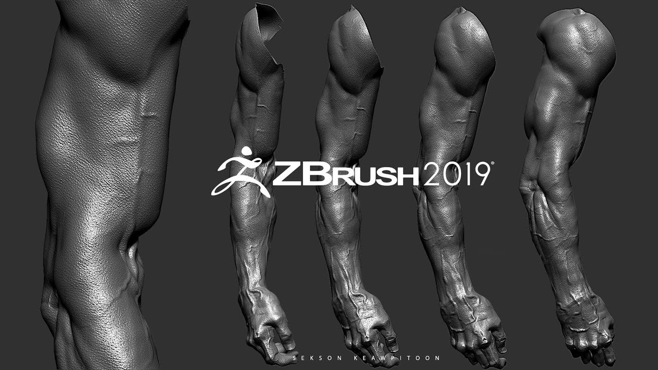 Arm Anatomy Zbrush - YouTube
