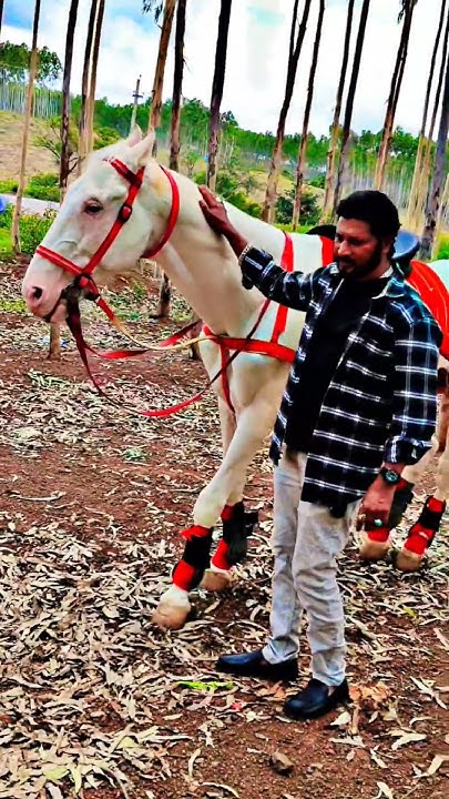 khulfa e Rashidun Hazrat Abu Bakr Siddique - YouTube