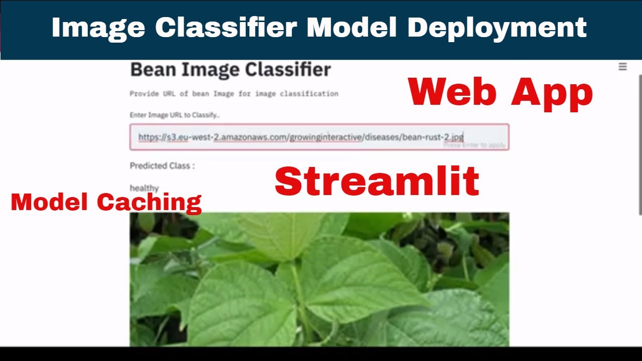 Deploying Image Classifier As Web Application Streamlit Youtube