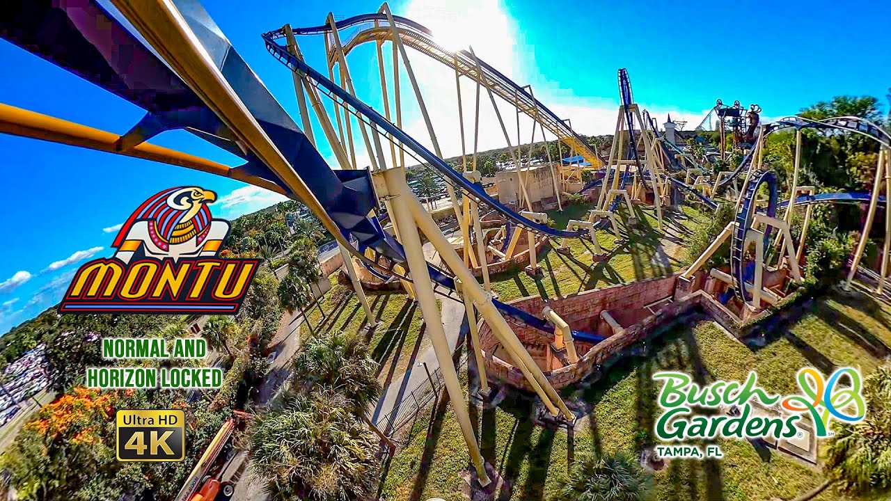 Montu Roller Coaster On Ride Front Row 4K POV Busch Gardens Tampa 2022 01 01 - YouTube