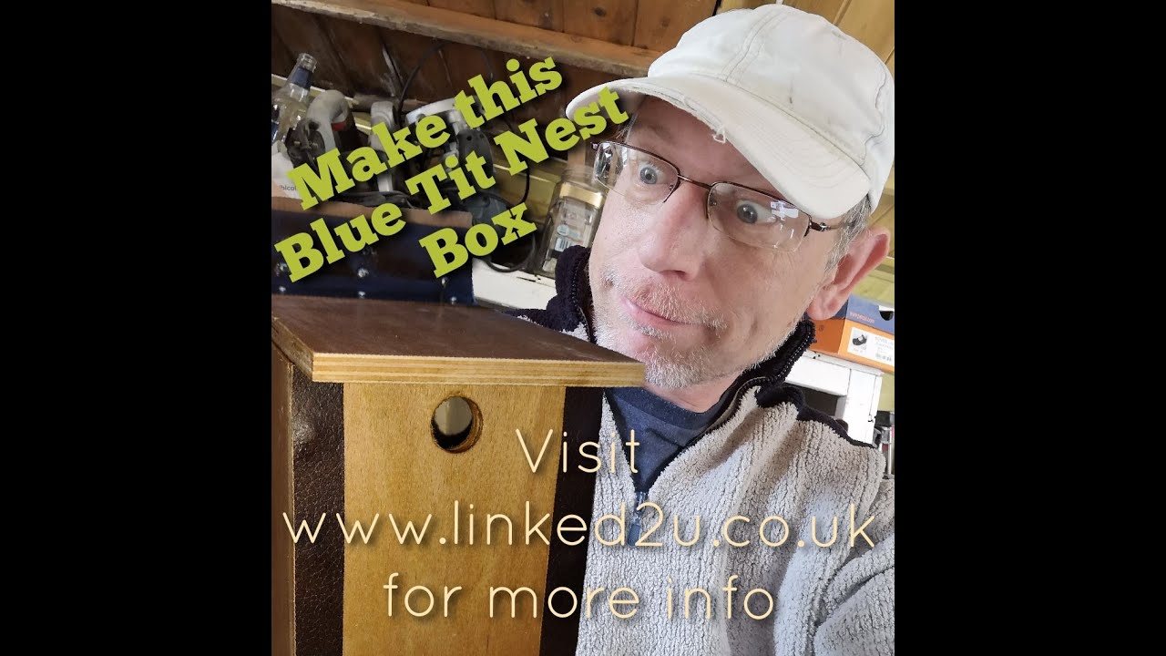 Making a Blue Tit Bird Box from Offcuts of Hardwood Plywood - YouTube