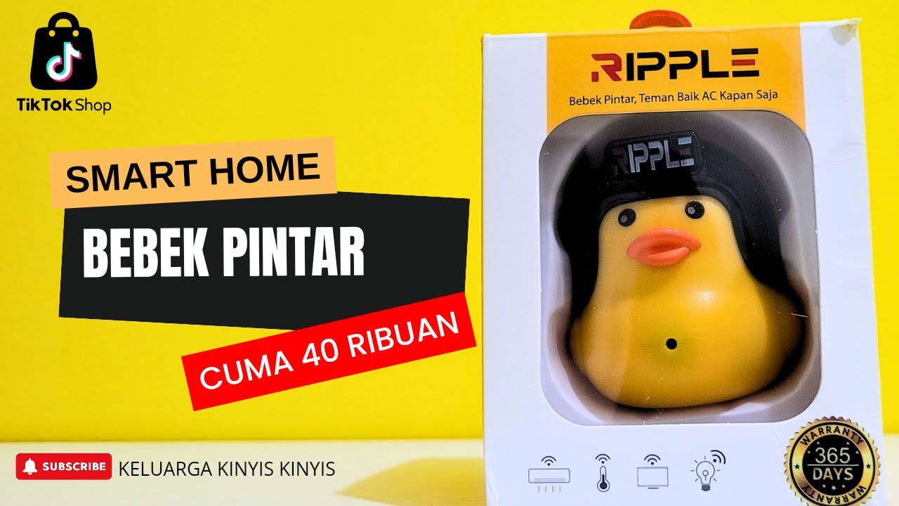 REVIEW BEBEK PINTAR RIPPLE SMART HOME 2024 - CUMA 40 RIBUAN - YouTube