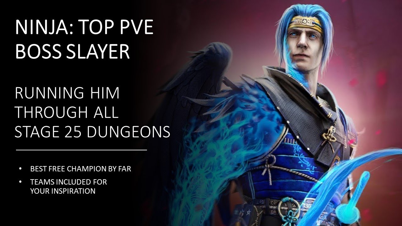 NINJA: THE TOP BOSS SLAYER - RUNNING HIM THRU ALL STAGE 25 DUNGEONS ...