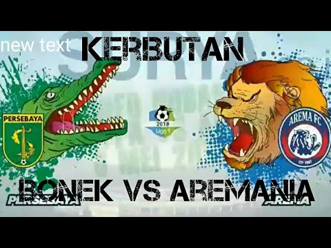 Keributan Arema vs Bonek - YouTube
