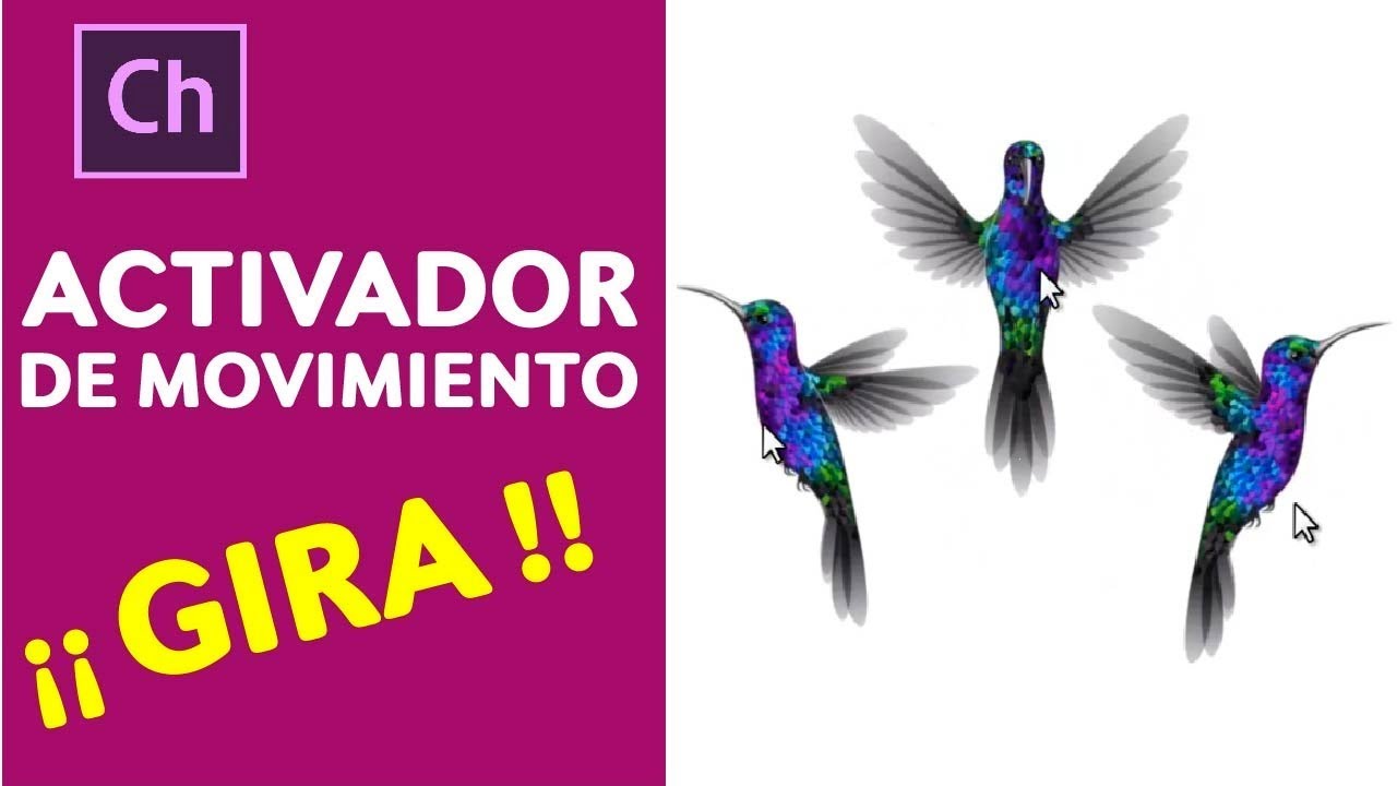 Comportamiento ACTIVADOR de MOVIMIENTO - CURSO de Adobe CHARACTER ...