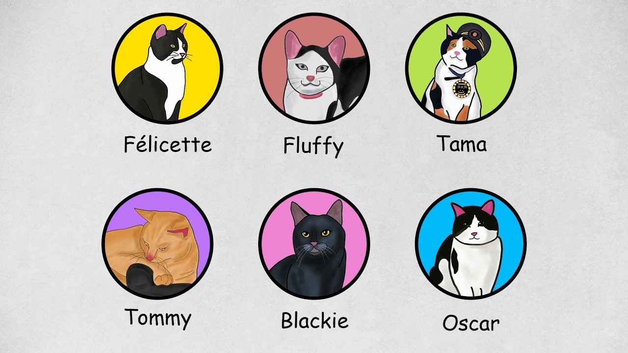 Every Extraordinary Cat Explained in 7 Minutes! - YouTube