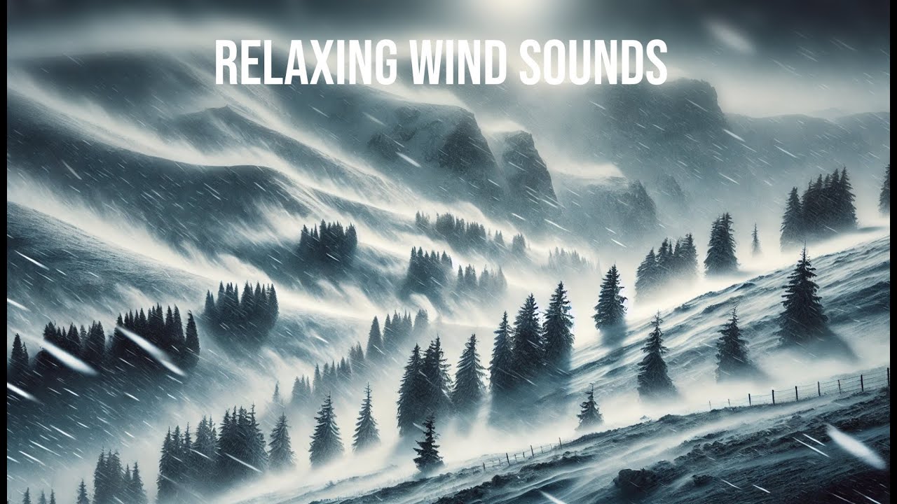 Relaxing Wind Sounds for Deep Sleep, Focus & Stress Relief | Calming ...