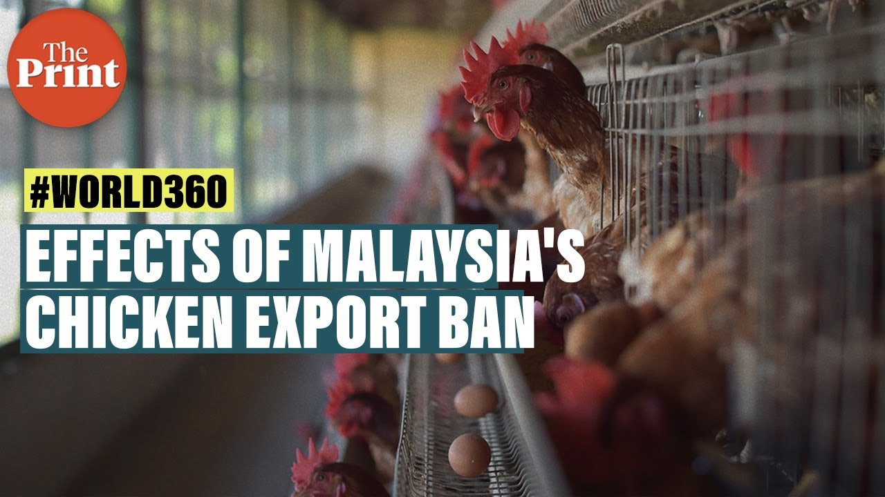 How the Ukraine war is causing a chicken shortage crisis in Malaysia ...
