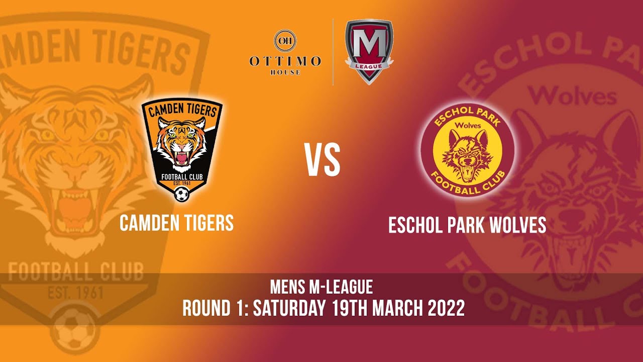 ROUND 1 - Men's M-League - Camden Tigers vs Eschol Park Wolves - YouTube
