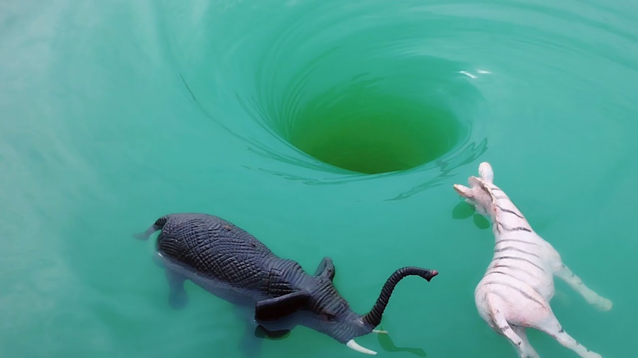 4 Wild Animals in Whirlpool Hole. Animal Toys. Whirlpools. Whirlpool ...
