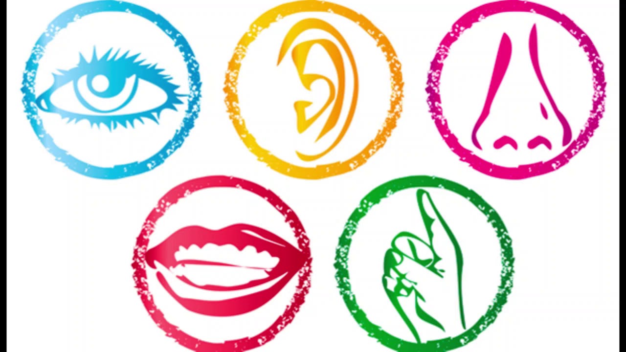 5 Ways to Wellbeing Mindful Object Task Medium - YouTube