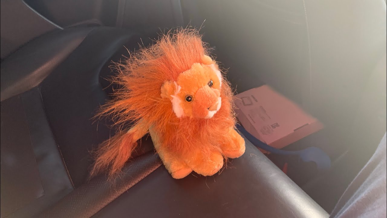 Wild republic mini lion 🦁 toy review - YouTube