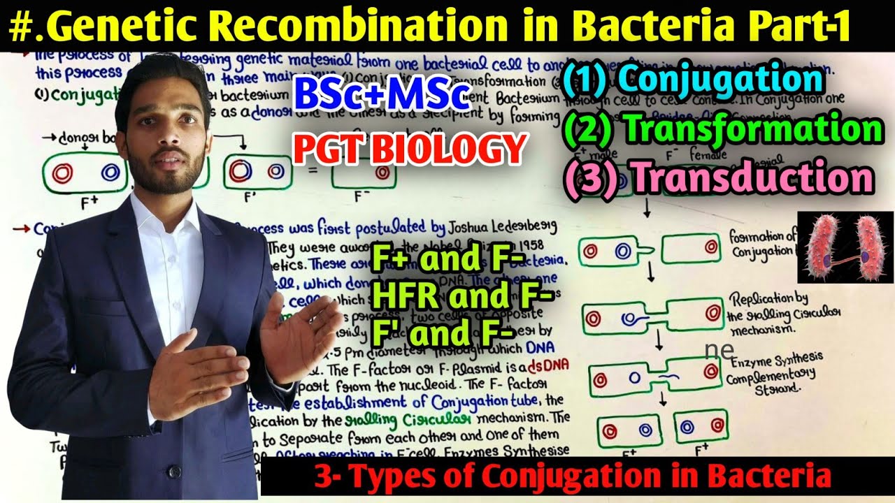 Genetic Recombination in Bacteria || Types of Conjugation in Bacteria ...