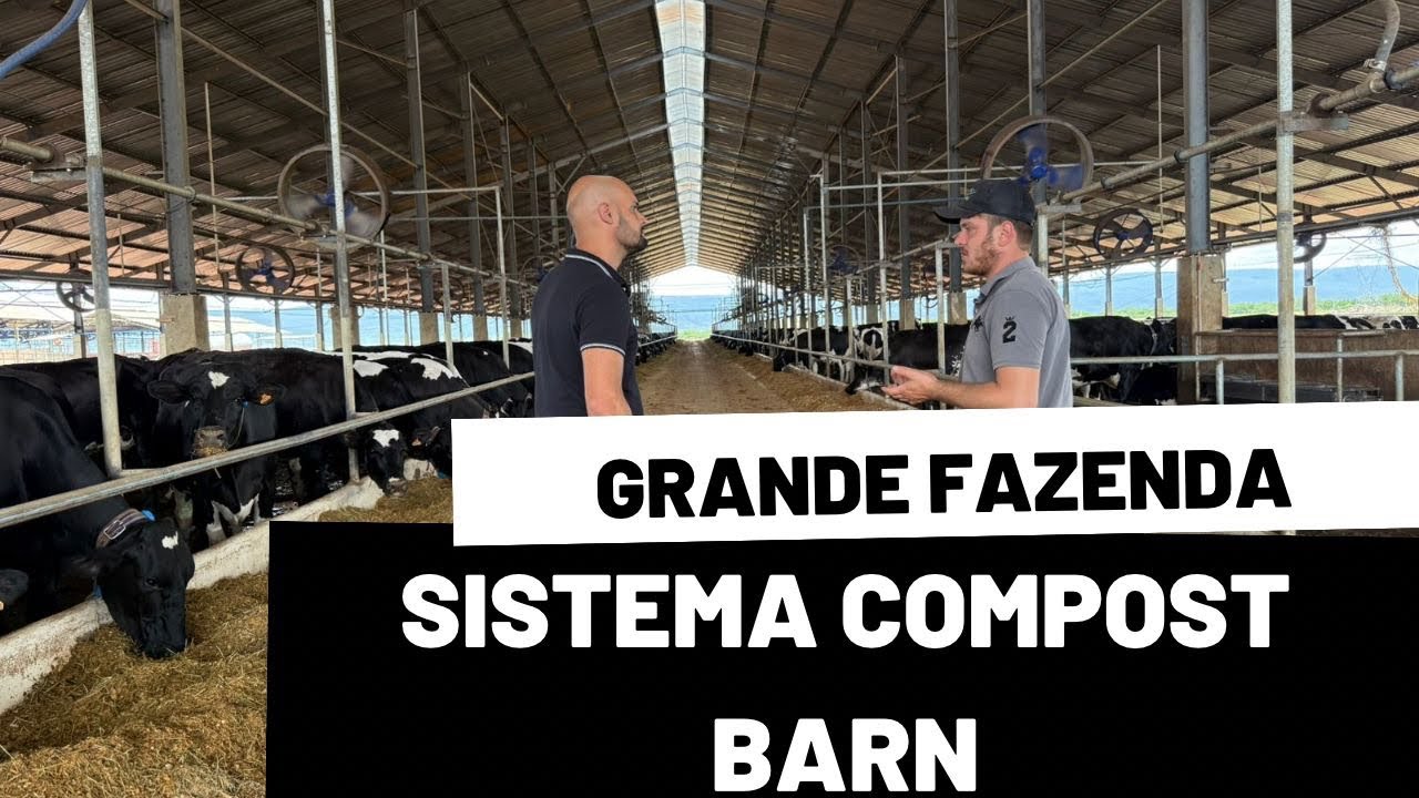 Sistema COMPOST BARN em grande PROPRIEDADE. - YouTube