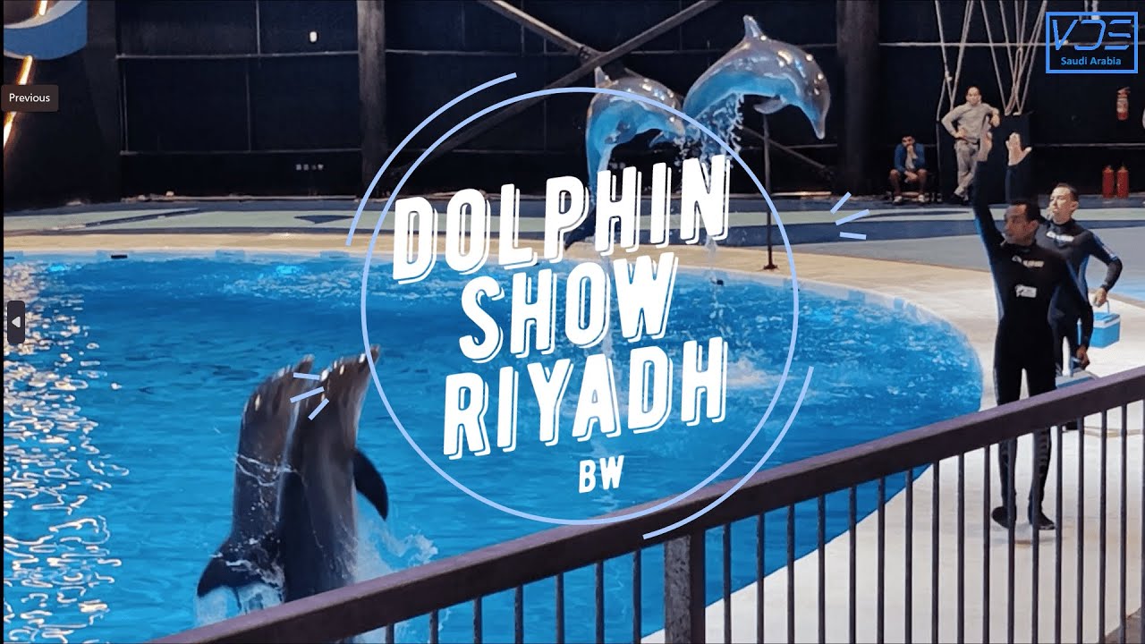 Dolphin Show, Boulevard World, Riyadh, Saudi Arabia - YouTube