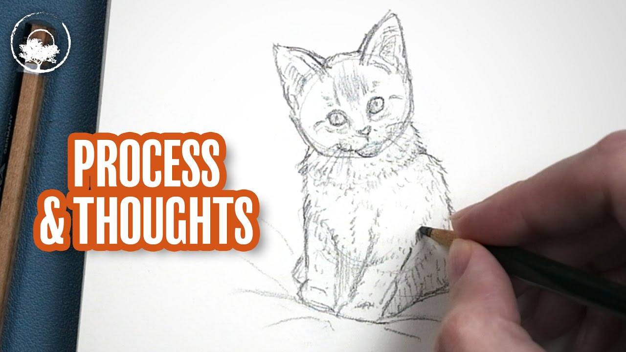Sketching a Kitten - Drawing Practice for Fun - YouTube