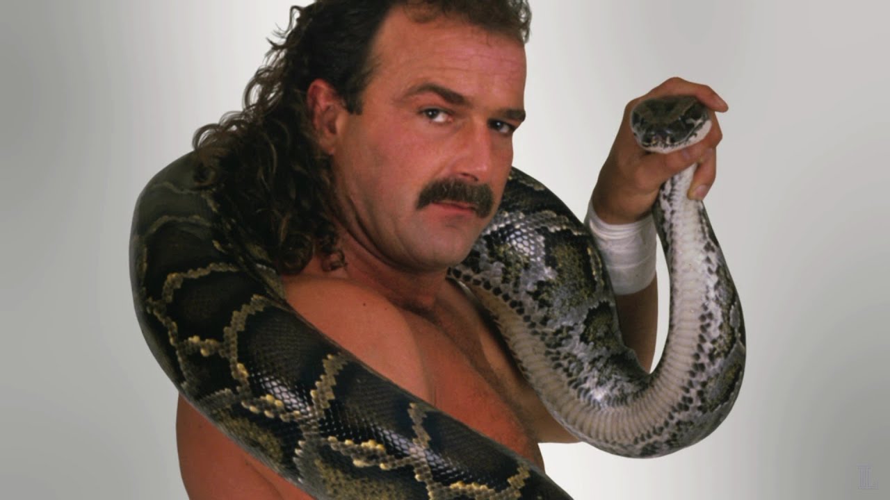 Jake Roberts | Best Moments - YouTube