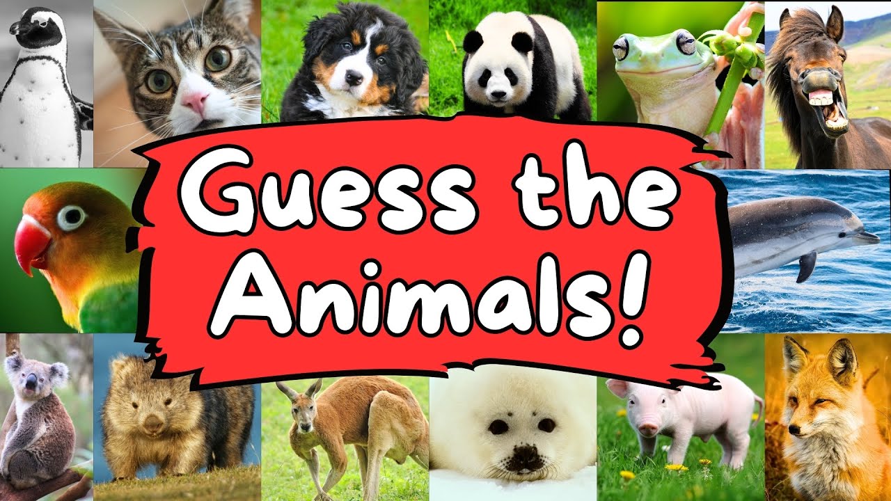 Guess the Animal Quiz | Easy to Difficult | Fun Animal Trivia Challenge ...