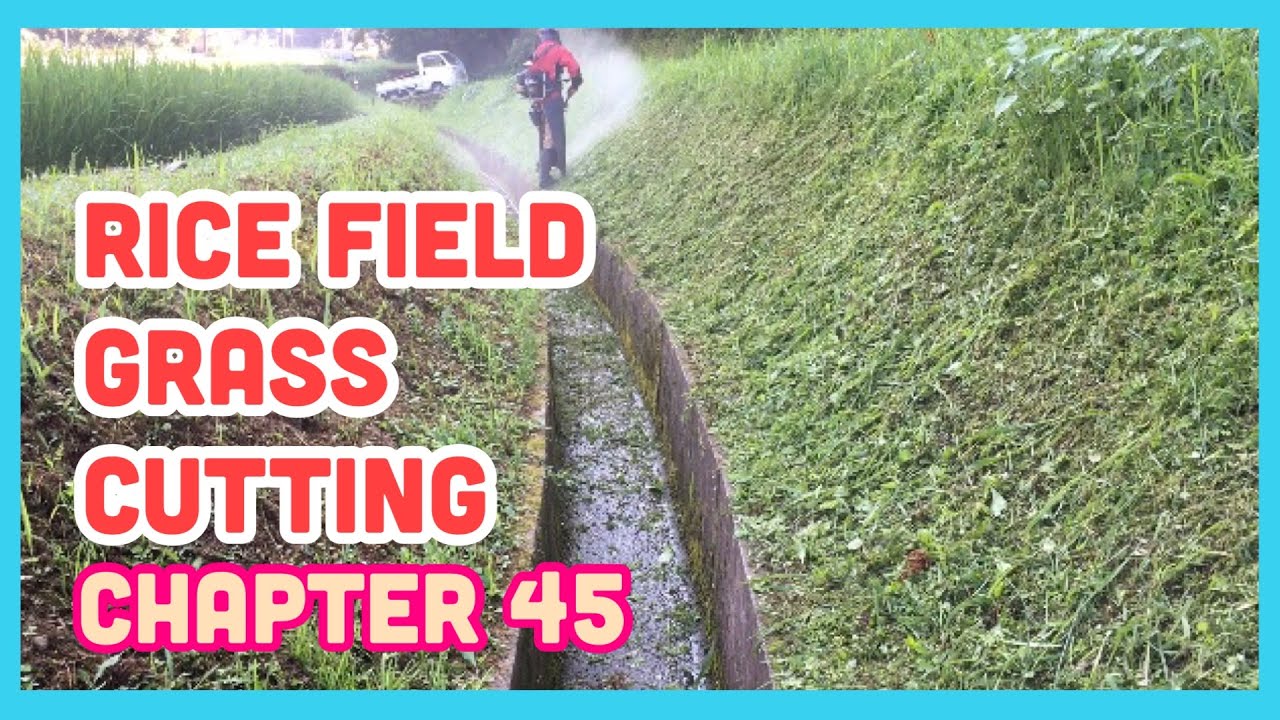 Rice Field 】 Grass cutting KAAZ (JAPAN)URP260AL-TB26 25cc Chapter45 ...
