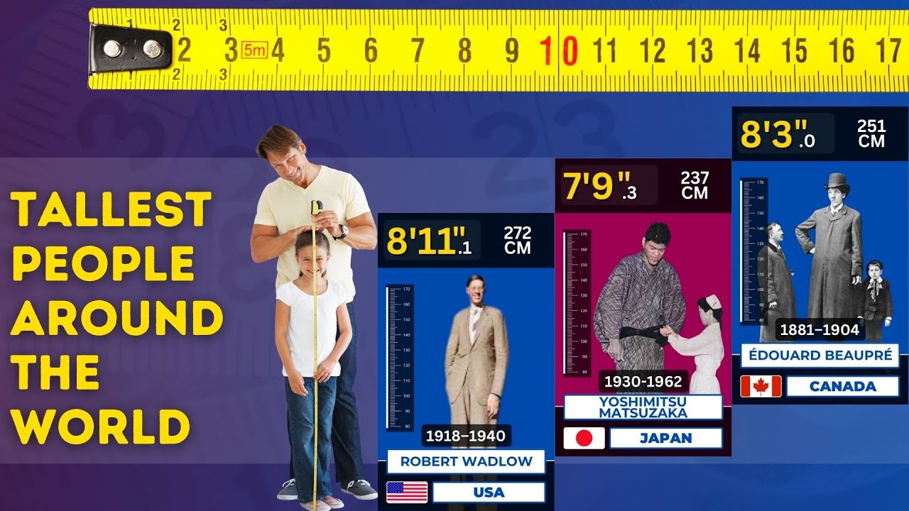 Tallest People in the World Height Comparison #facts #height # ...