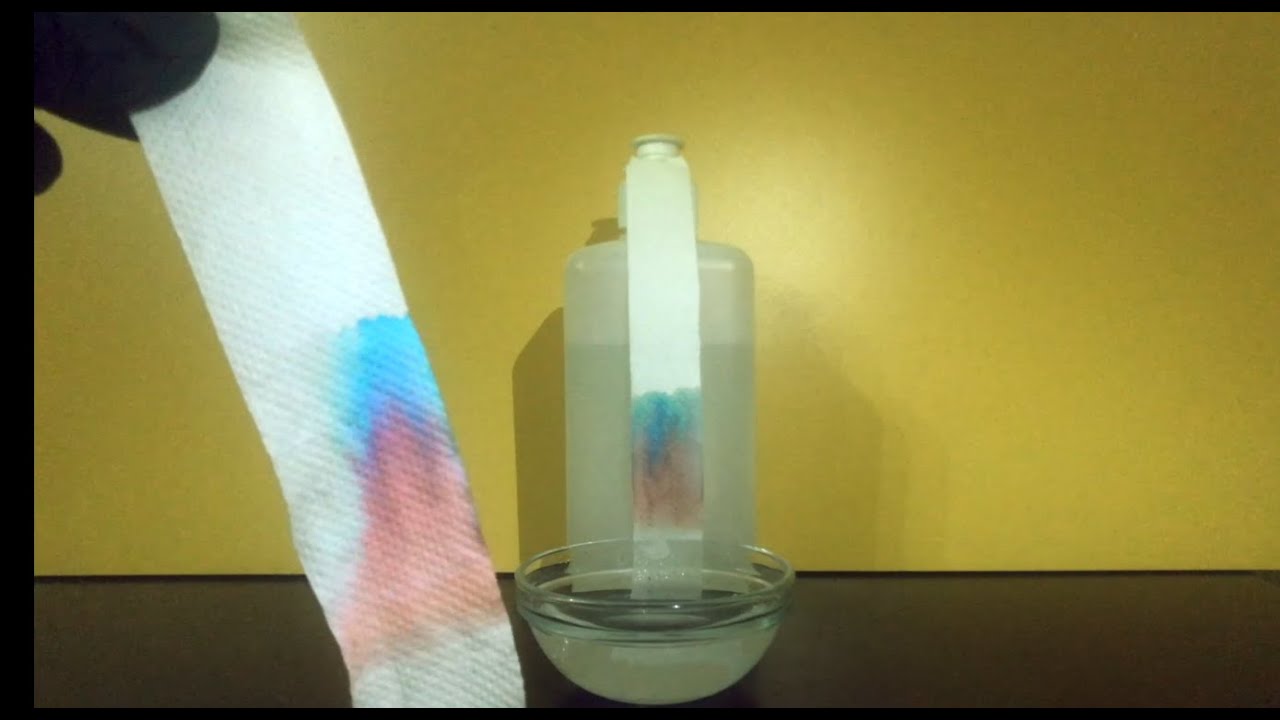 Chromatography | Is black ink really black? | Chemistry Experiment ...