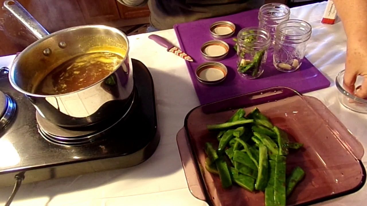 Pickled Cactus - YouTube