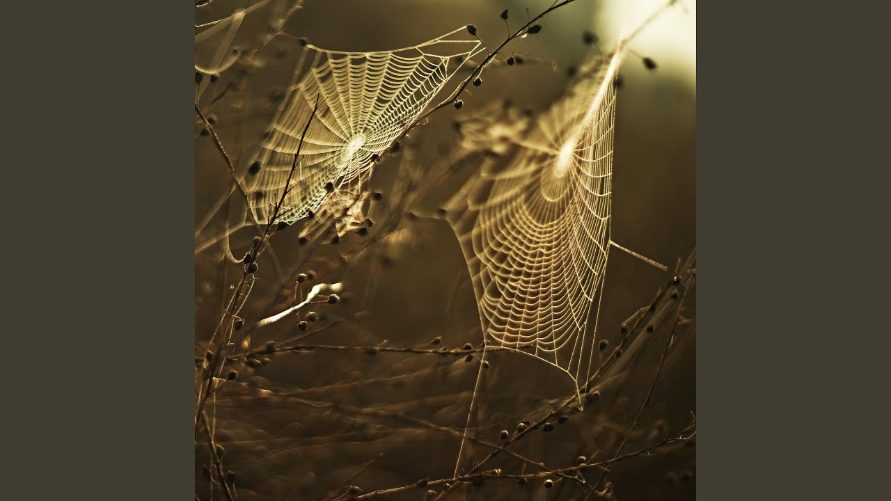 Hanging by the Last Thread - YouTube