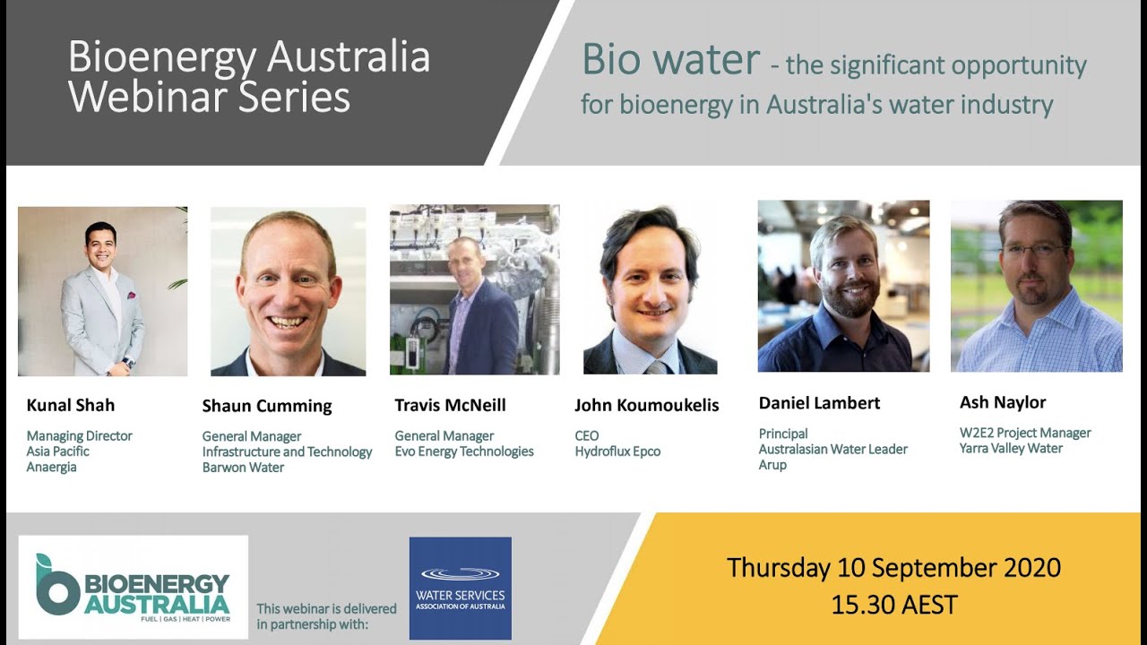 Webinar: Bio water - the significant opportunity for bioenergy in ...