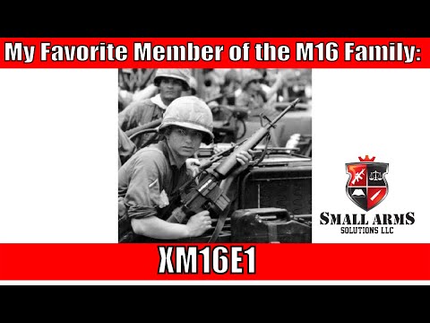 My Favorite Member of the M16 Family: the XM16E1