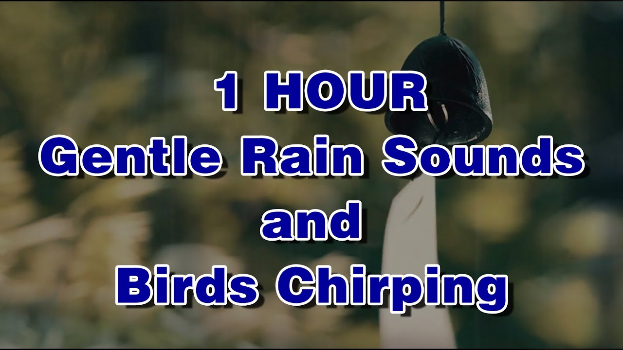 |1 HOUR| Gentle Rain Sounds and Birds Chirping / Bruit Pluie Tres Doux ...