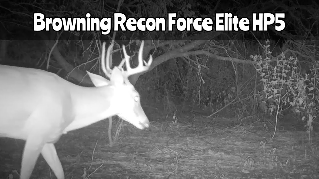 Browning Recon Force Elite HP5 Trail Camera: Sept. 29- Oct. 29, 2024 ...