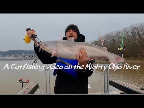 A Catfishing video on the Mighty Ohio River #bluecatfish - YouTube