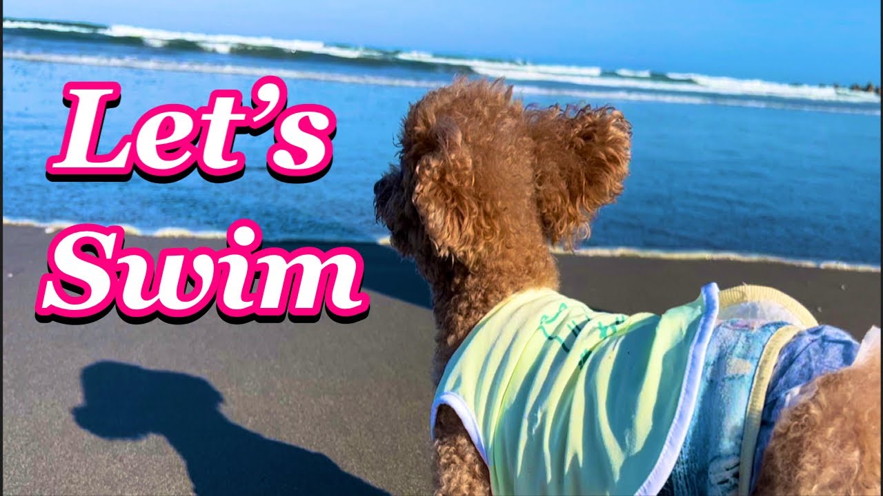 Summer time in the beach #beach - YouTube