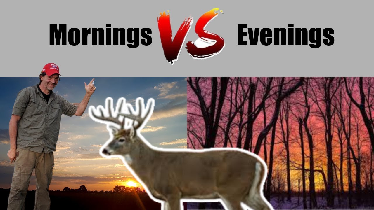 How to decide if a spot is good for morning or evening hunts with Dan ...