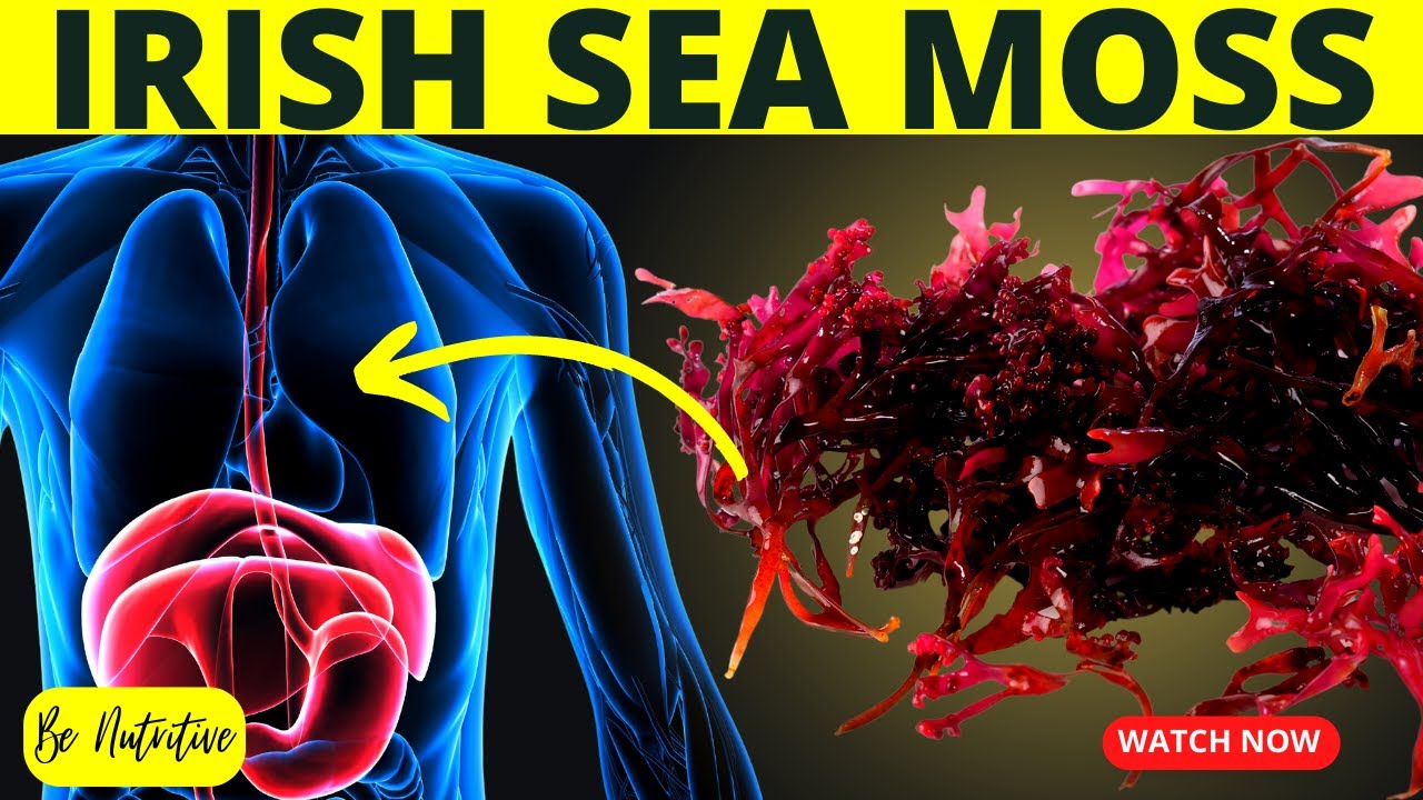 Sea Moss Health Benefits and Nutrition Facts | Sea Moss Cures ...