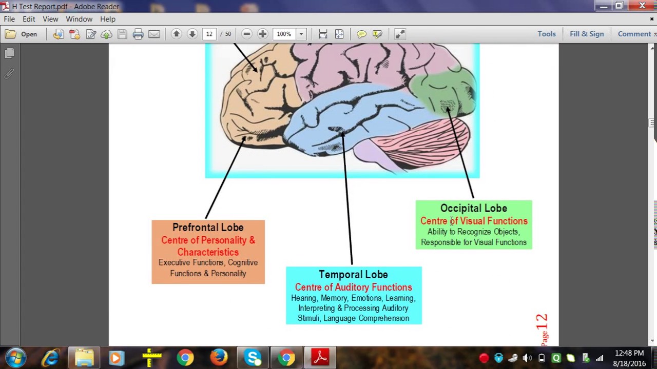 DMIT REPORT COUNSELLING.....Exuberance - YouTube