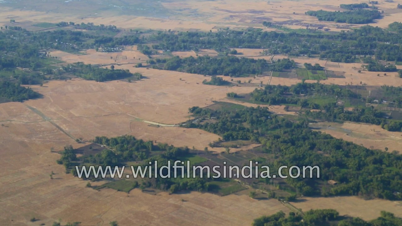 Agriculture in Brahmaputra valley flood plain : aerial views from ...