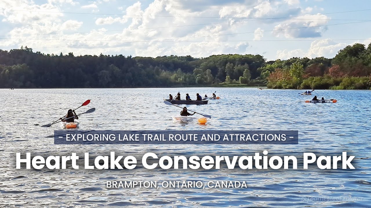 Brampton Heart Lake Conservation Park & Attractions: Treetop Trecking ...