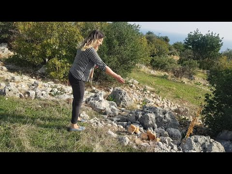 CENNET CEHENNEM