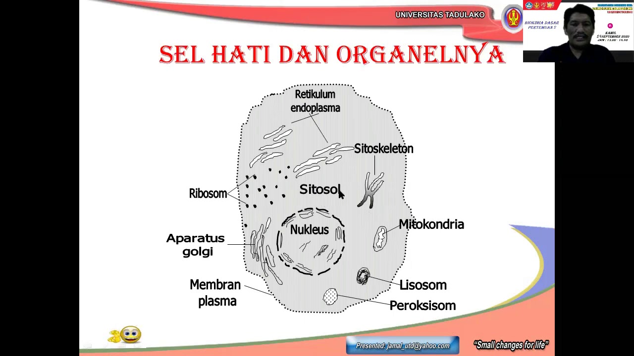 Biokimia_Molekul [FKIP_UNTAD] -Jamaluddin Sakung - YouTube