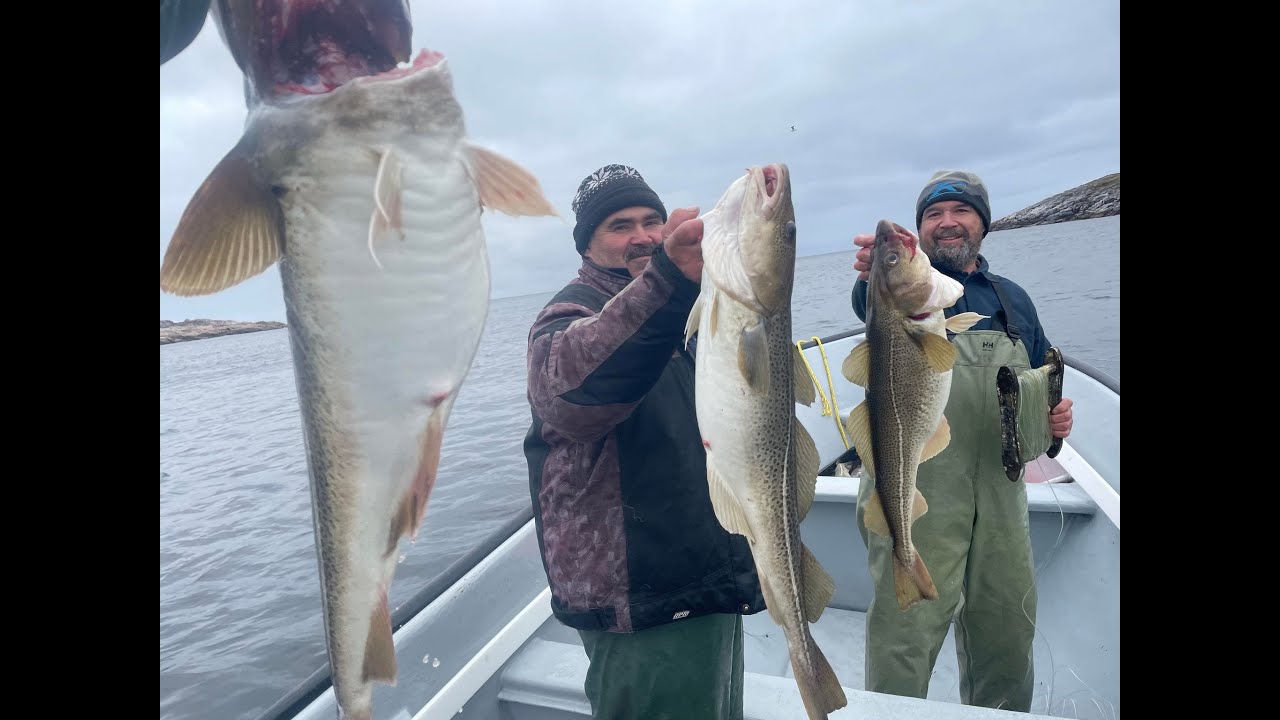 Cod Jigging With The Boys (Seal Meat Feast) - YouTube