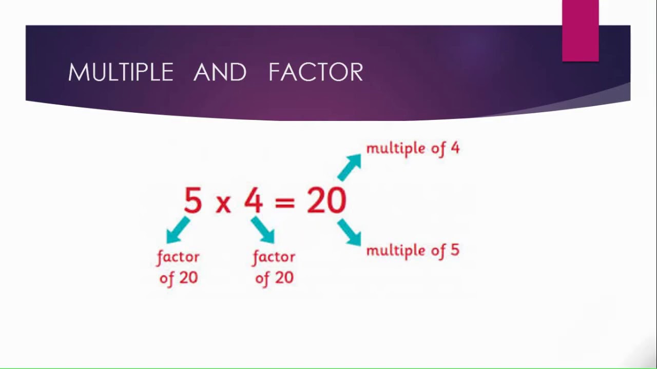 Factor And Multiple YouTube Factor And Multiple YouTube