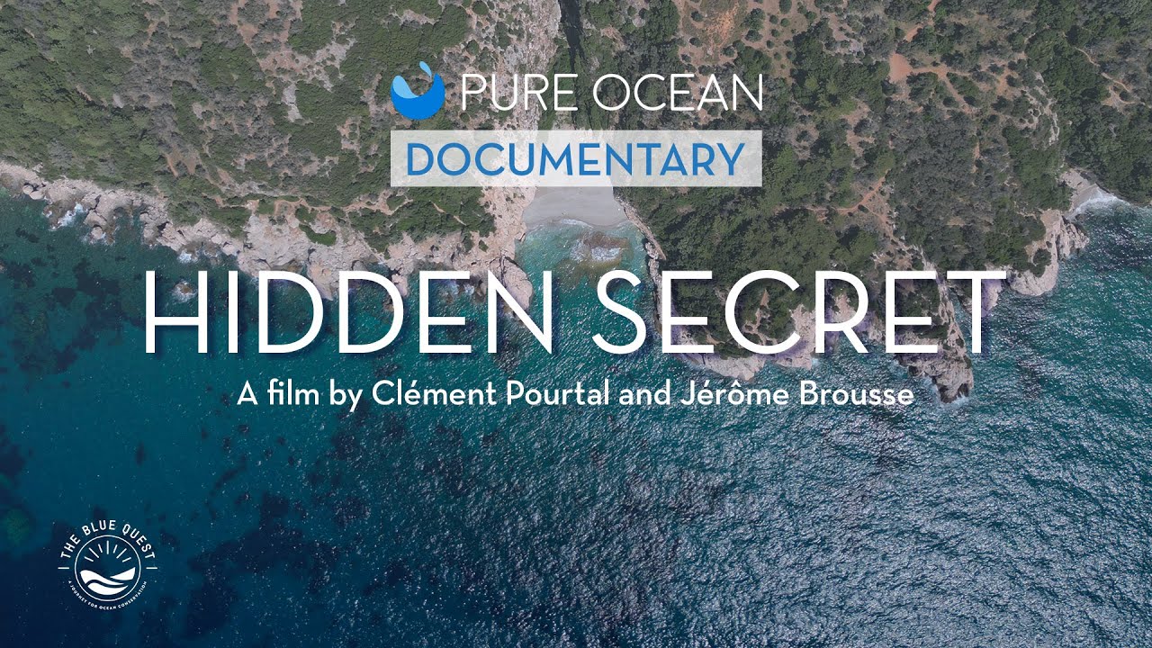 HIDDEN SECRET by Pure Ocean | English Version - YouTube