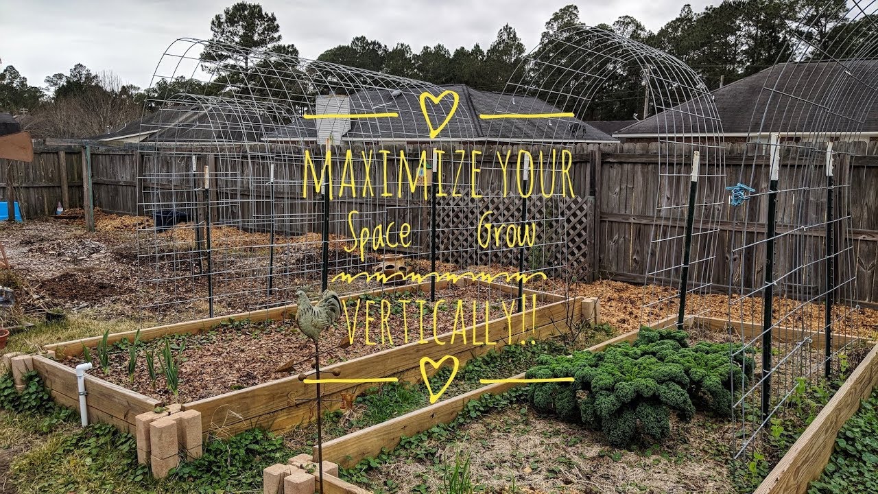 Growing Vertically with Cattle Panels | Garden Tips - YouTube