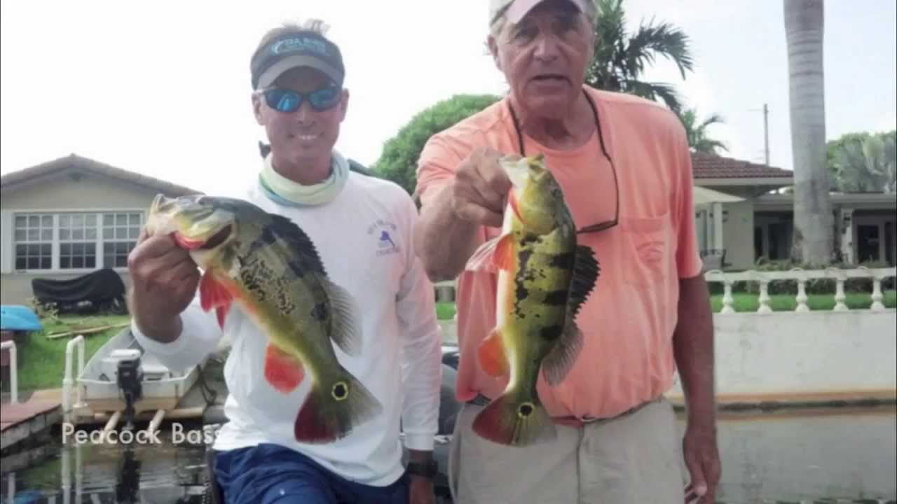 Capt Gus' 2013 Florida Keys Fishing Vacation - YouTube