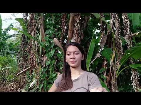 BATOD, ULOD BA SA KASILYAS? | MANDAYA GIRL - YouTube