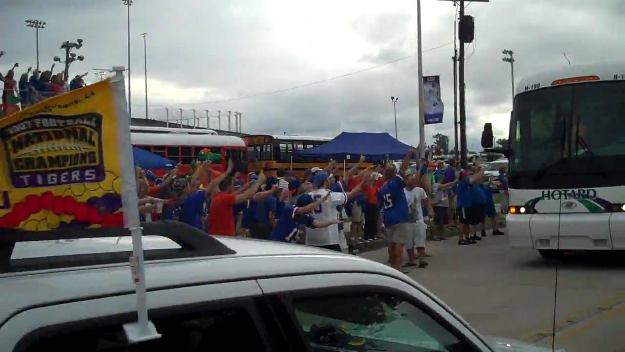 Frenzied Florida Fans Cheer On Gator Bus Caravan - YouTube