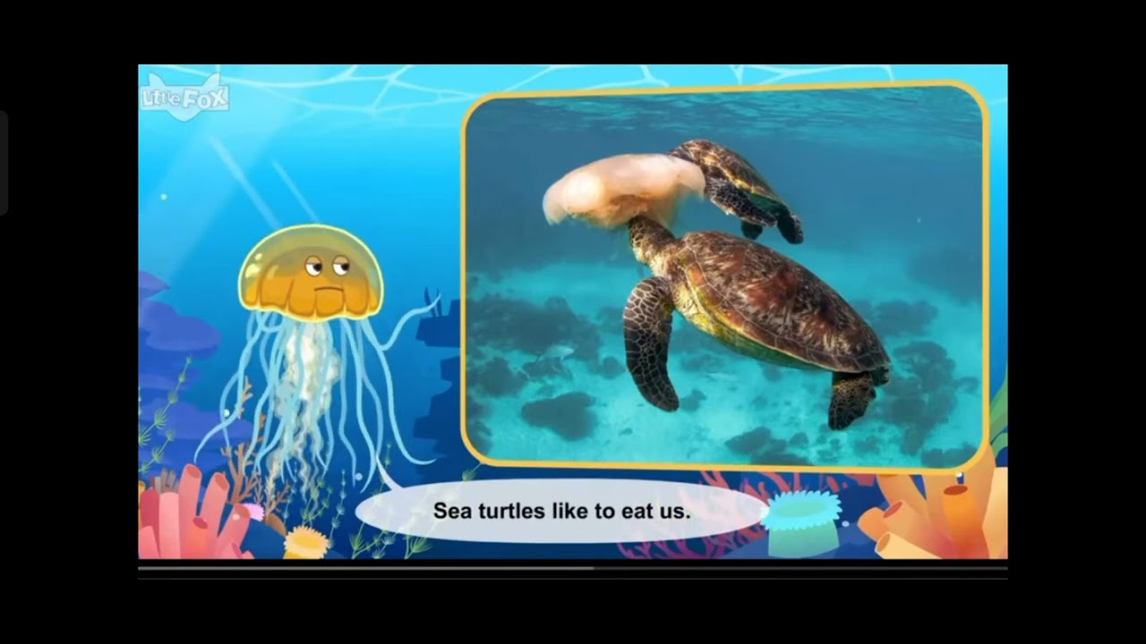 L2 073 Meet the Animals 73 Jellyfish - YouTube