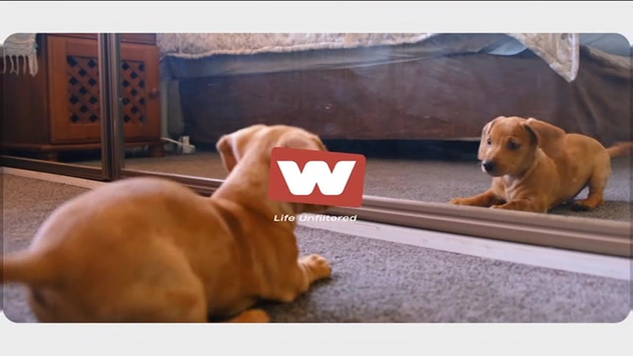 W (UKTV) - Closedown + U&W VO - 16/07/2024 3:00am - YouTube